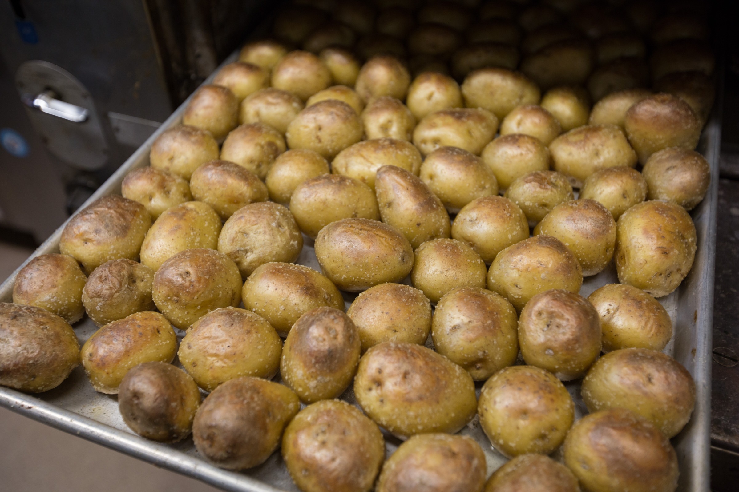 Seasonal Culinary Vision | Perona Farms